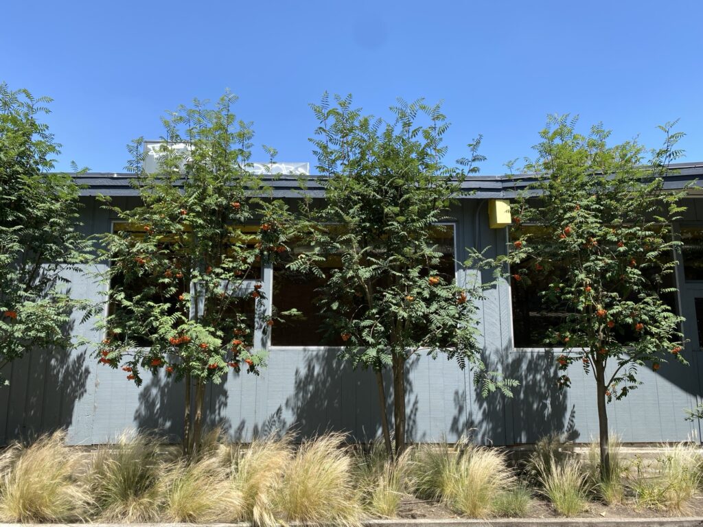 Environmental Design - super-strata